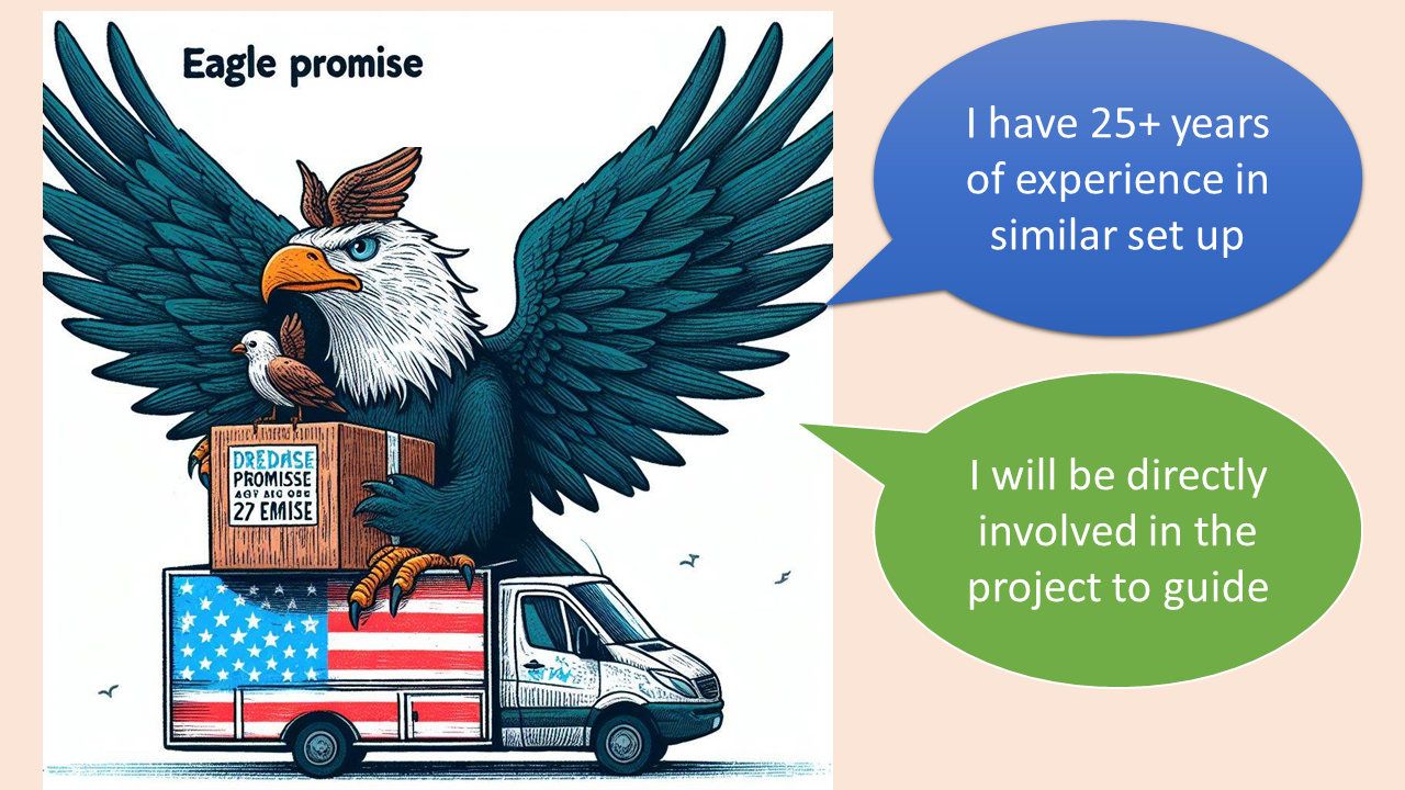 The Mirage of Management Consultancy: Eagle Promises, Sparrow ...